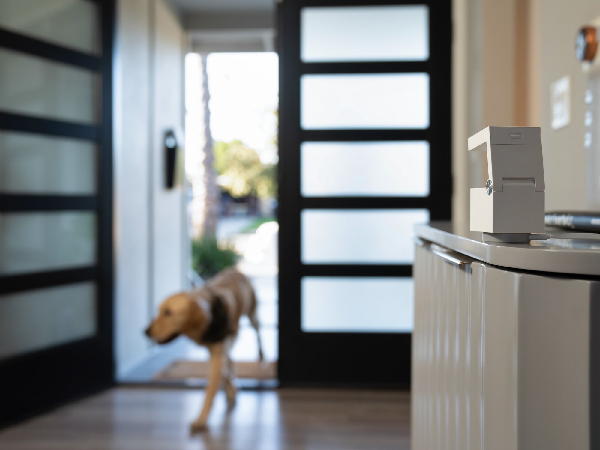 Discover the Power of Smart Motion Tracking | Psync Pulse Blog