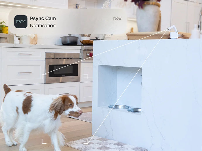 Psync Camera Genie S | Indoor Smart Home Camera | Psync